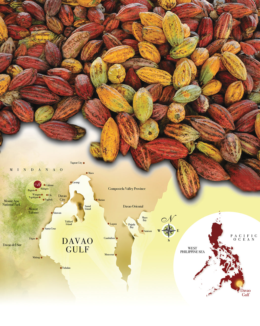 Malagos — Unique Davao, Philippines Cacao Flavors – Malagos Chocolate